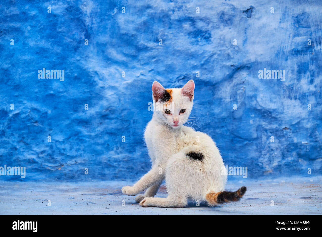 Morocco, Rif area, Chefchaouen (Chaouen) town, the blue city, street ...