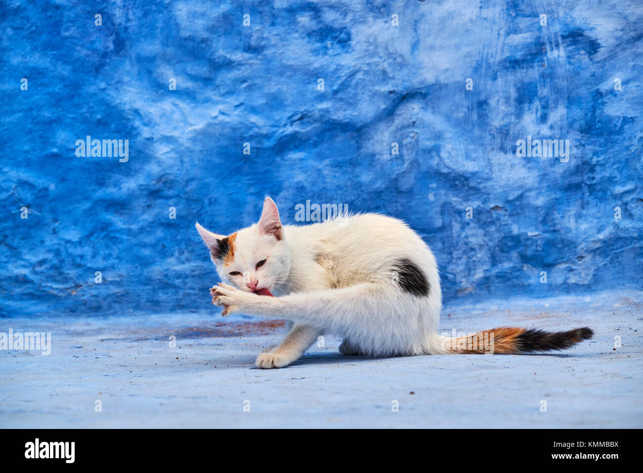 Morocco, Rif area, Chefchaouen (Chaouen) town, the blue city, street ...