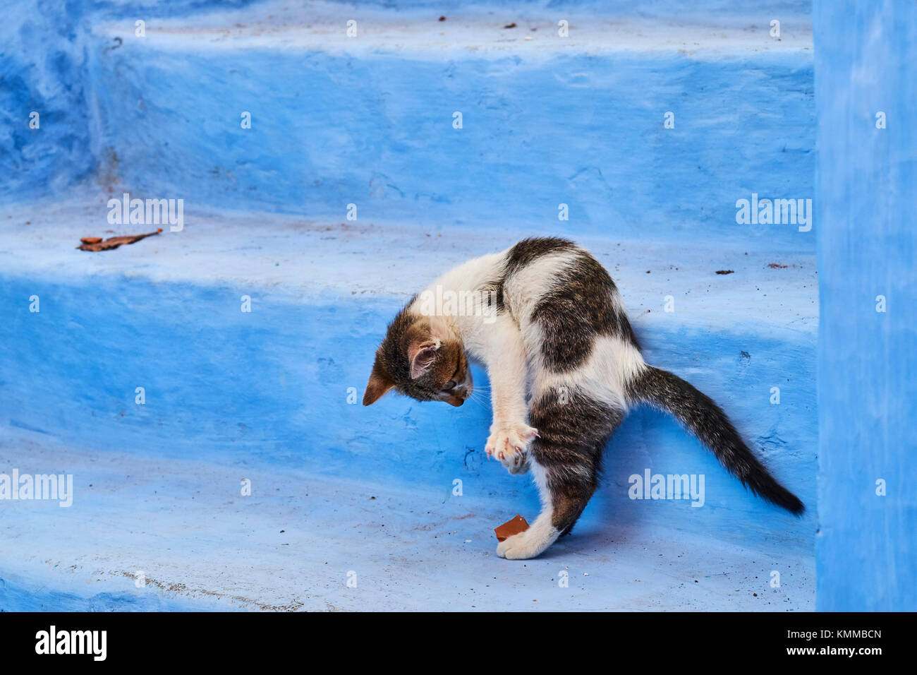 Morocco, Rif area, Chefchaouen (Chaouen) town, the blue city, street ...
