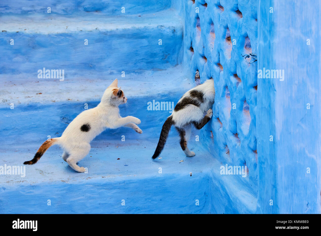 Morocco, Rif area, Chefchaouen (Chaouen) town, the blue city, street ...