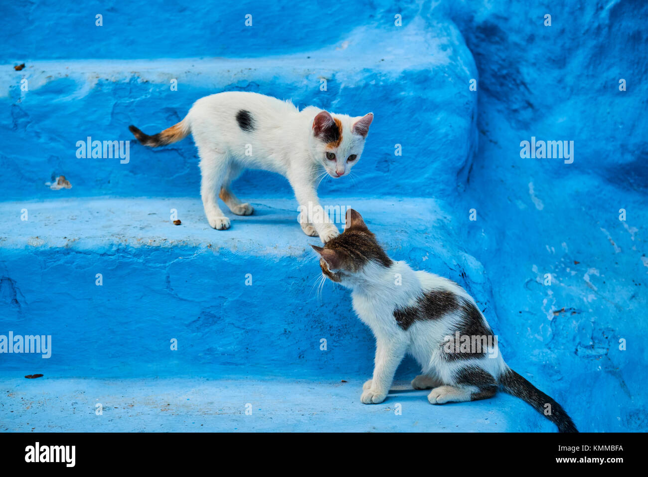 Morocco, Rif area, Chefchaouen (Chaouen) town, the blue city, street ...