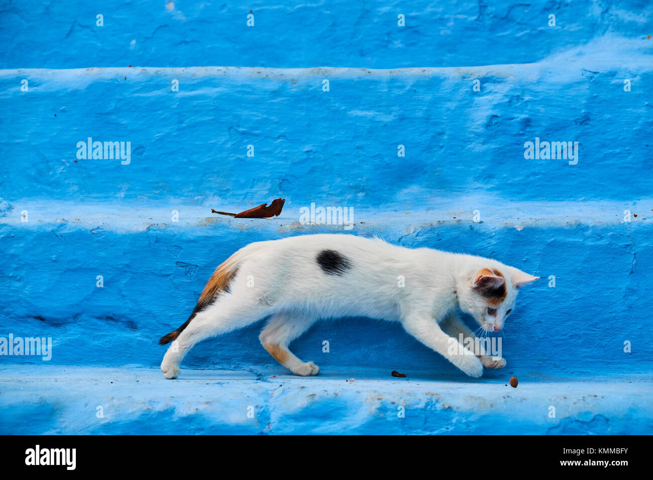Morocco, Rif area, Chefchaouen (Chaouen) town, the blue city, street ...