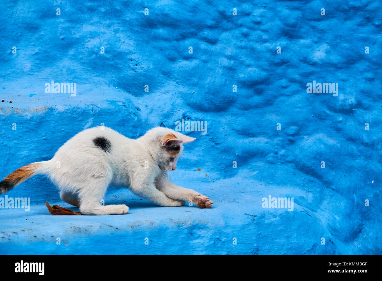 Morocco, Rif area, Chefchaouen (Chaouen) town, the blue city, street ...