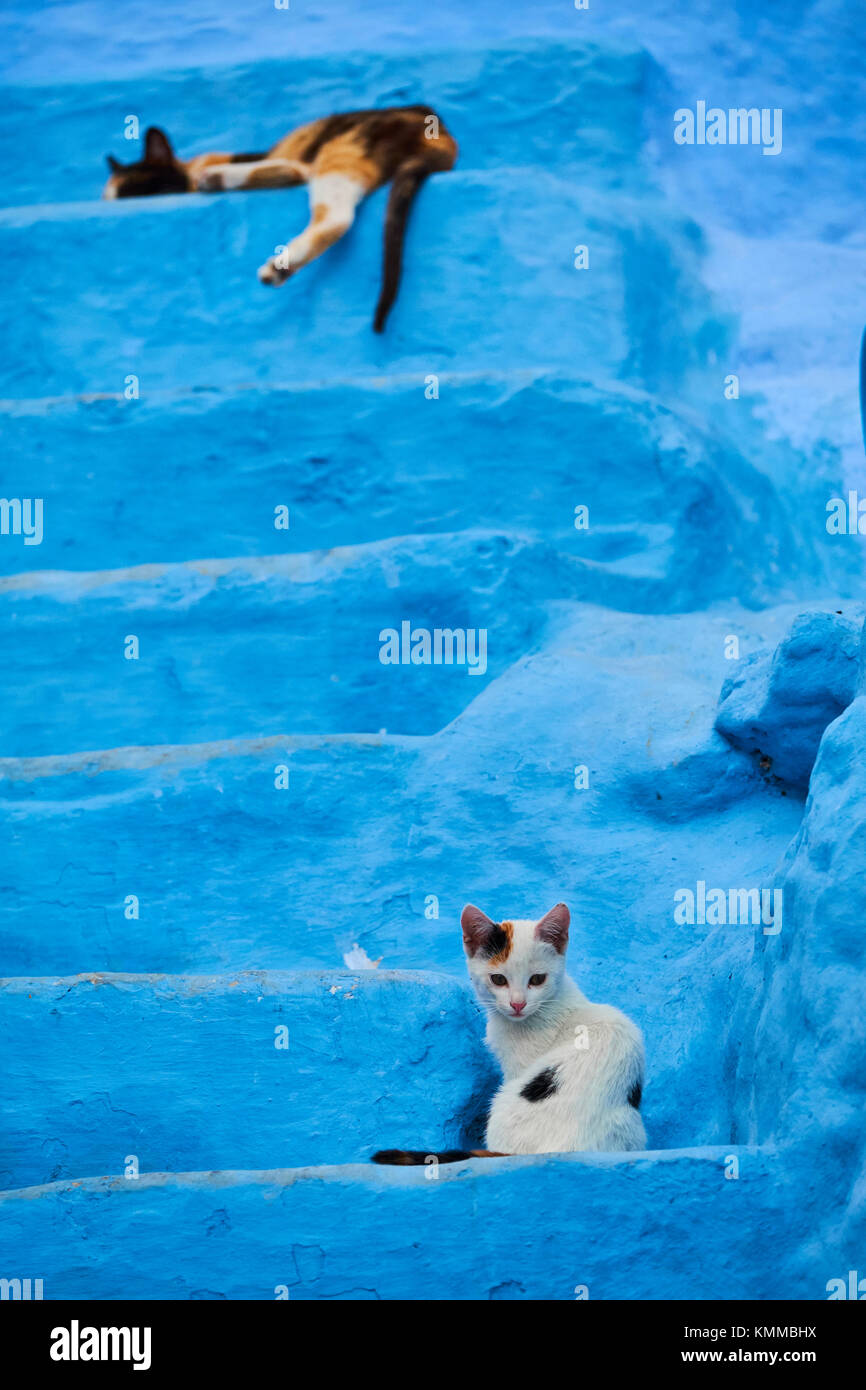 Morocco, Rif area, Chefchaouen (Chaouen) town, the blue city, street ...