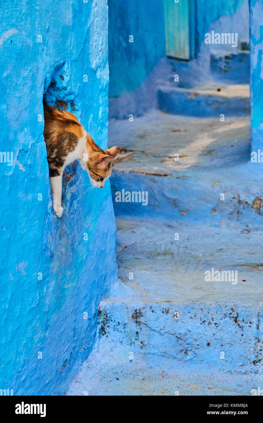 Morocco, Rif area, Chefchaouen (Chaouen) town, the blue city, street ...