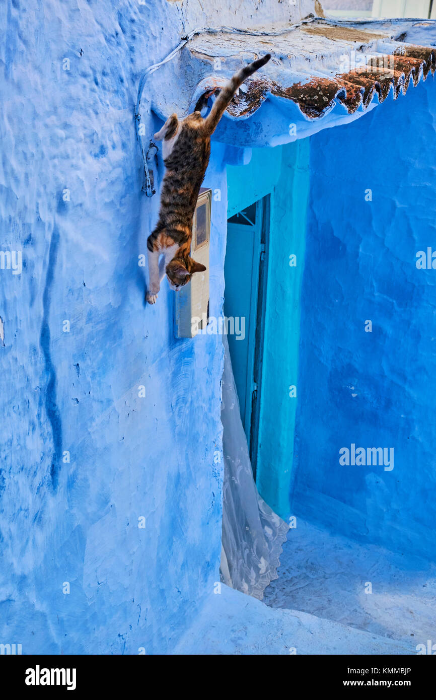 Morocco, Rif area, Chefchaouen (Chaouen) town, the blue city, street ...