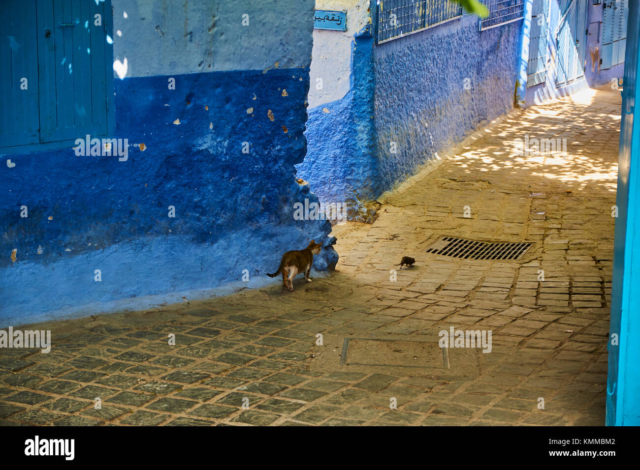 Morocco, Rif area, Chefchaouen (Chaouen) town, the blue city, street ...