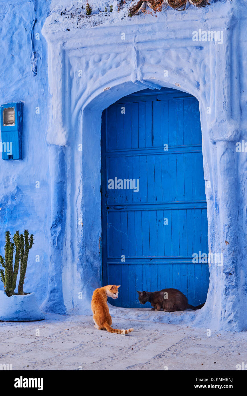 Morocco, Rif area, Chefchaouen (Chaouen) town, the blue city, street ...