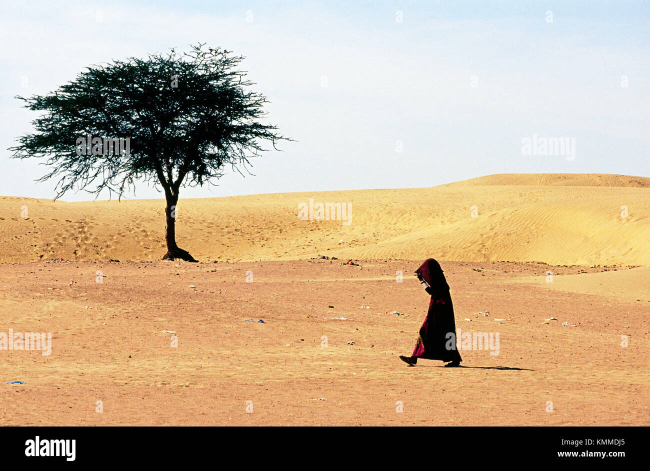 Chohtan hi-res stock photography and images - Alamy