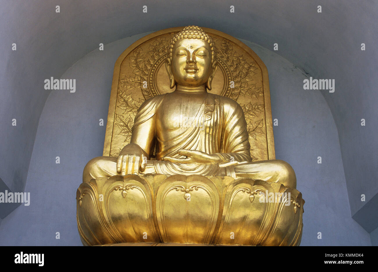Vaishali buddha hi-res stock photography and images - Alamy
