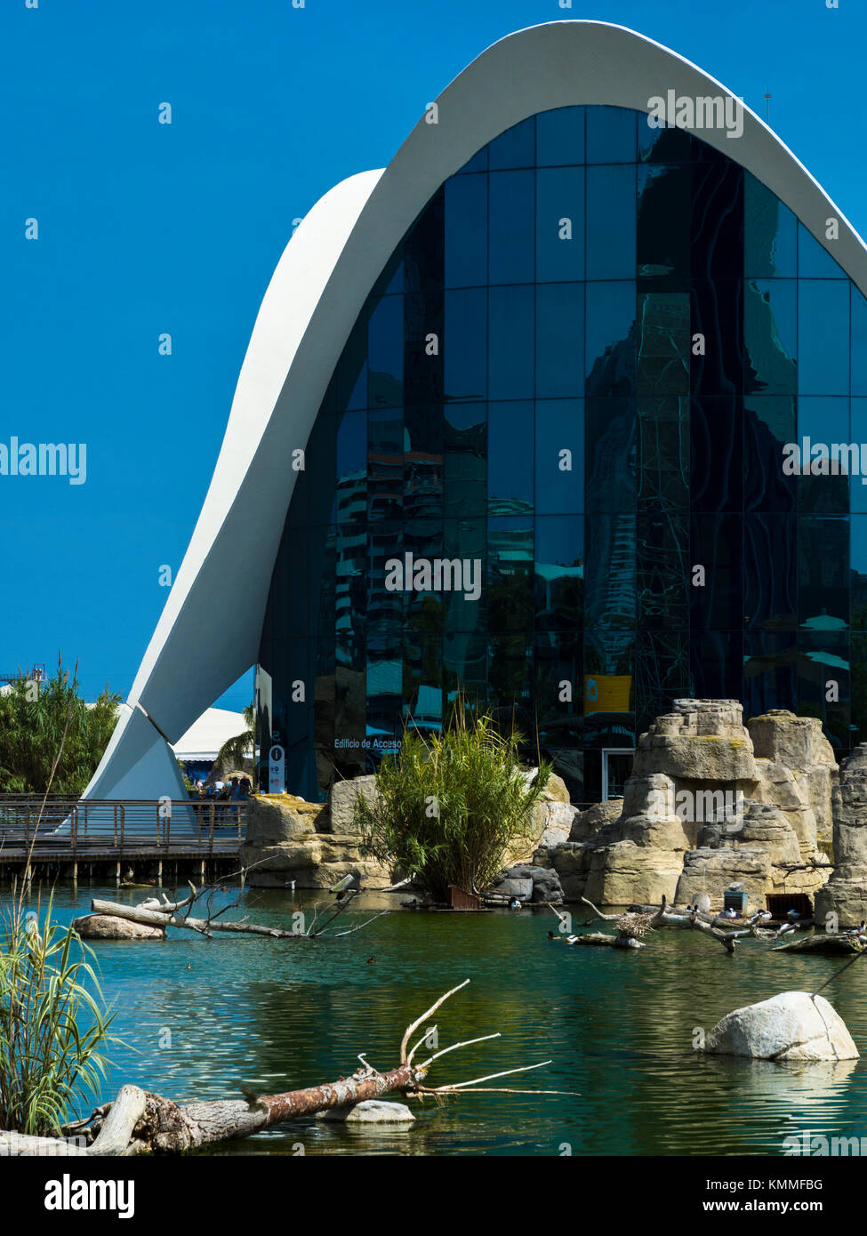 L'oceanografic aquarium valencia hi-res stock photography and images ...