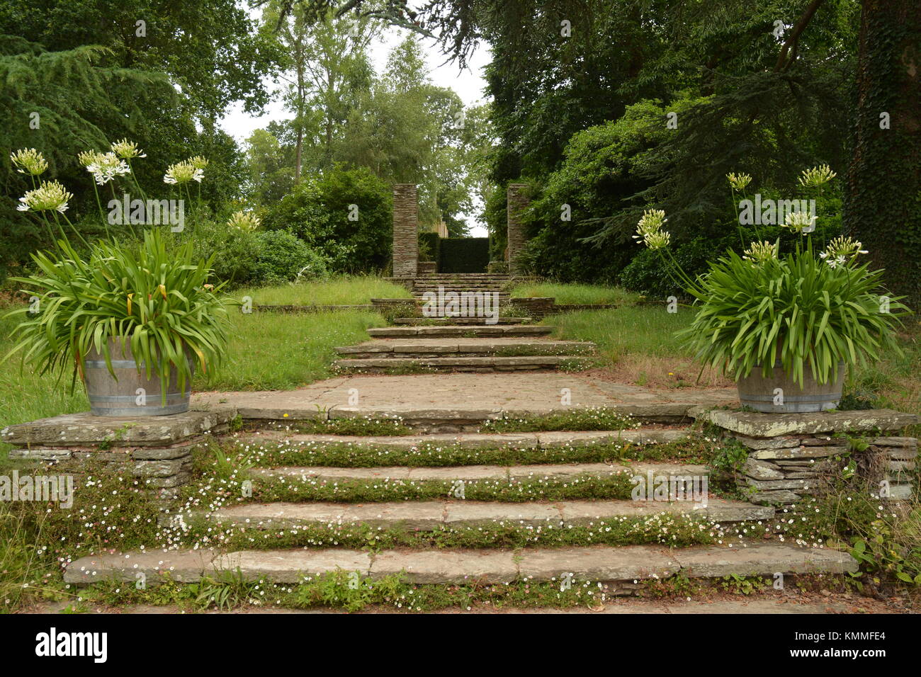 Flight of garden steps Stock Photo - Alamy