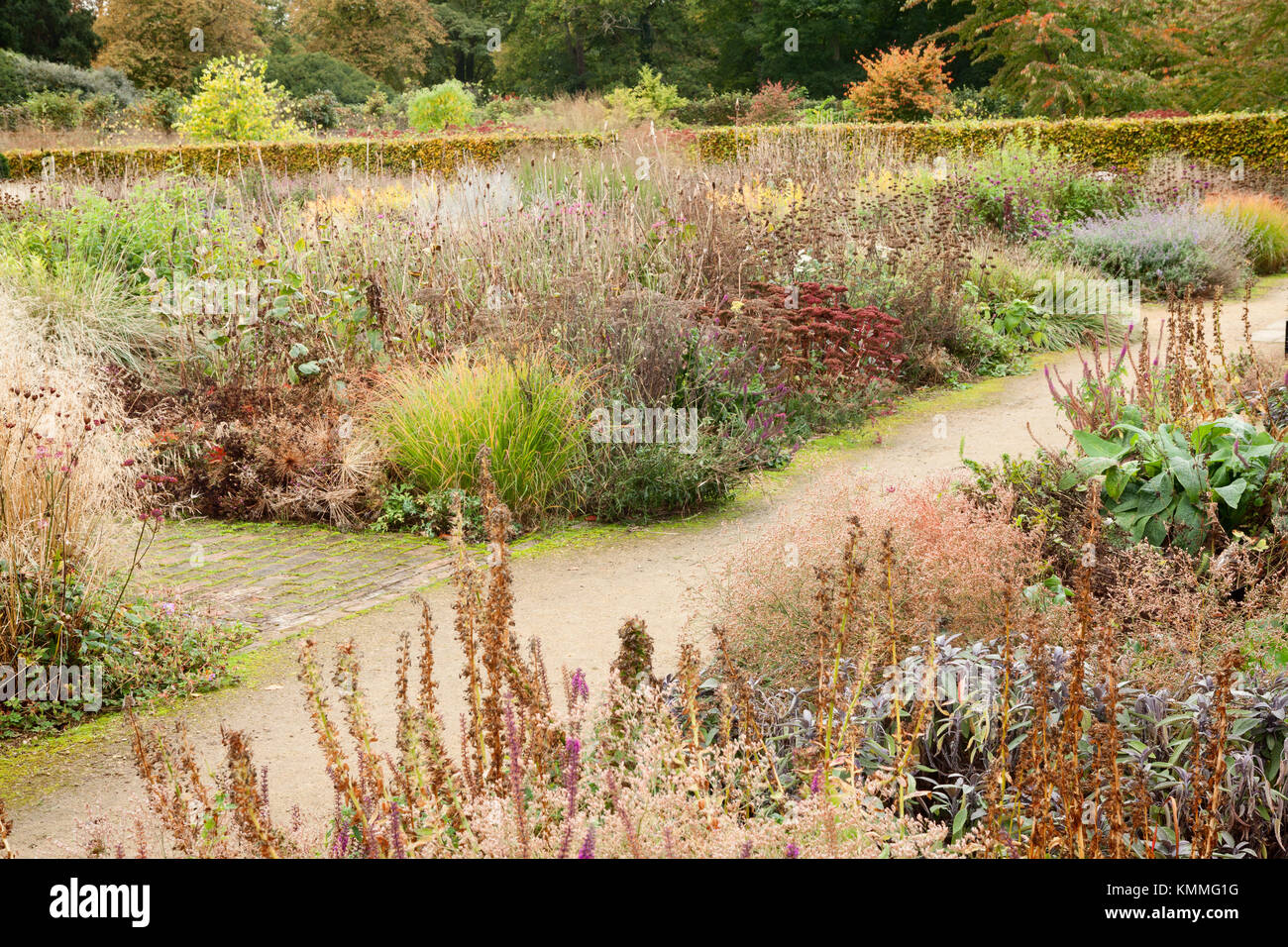 Piet oudolf garden design hi-res stock photography and images - Alamy