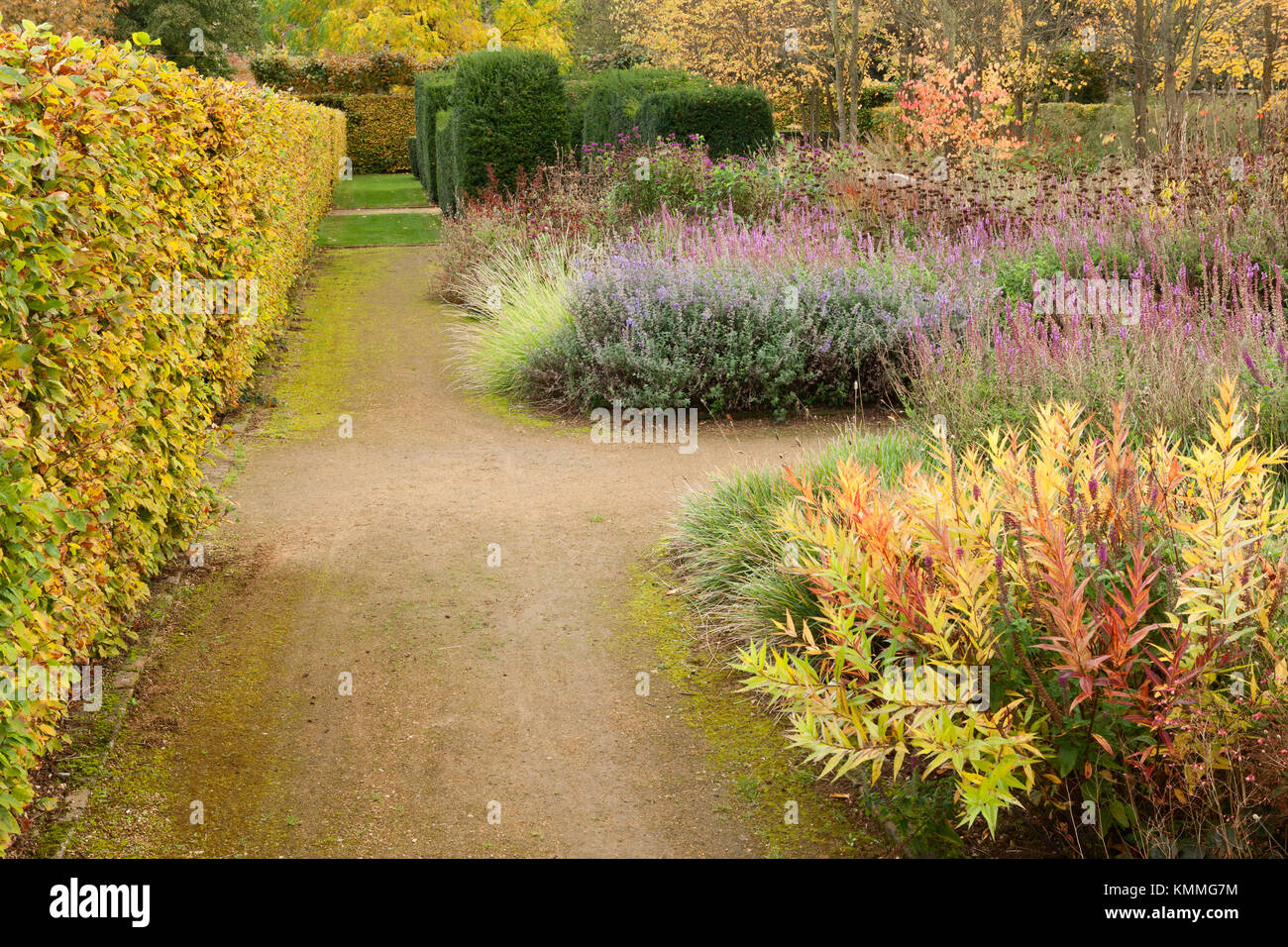 Scampston Hall Walled Garden, North Yorkshire, in Autumn. October 2017 ...