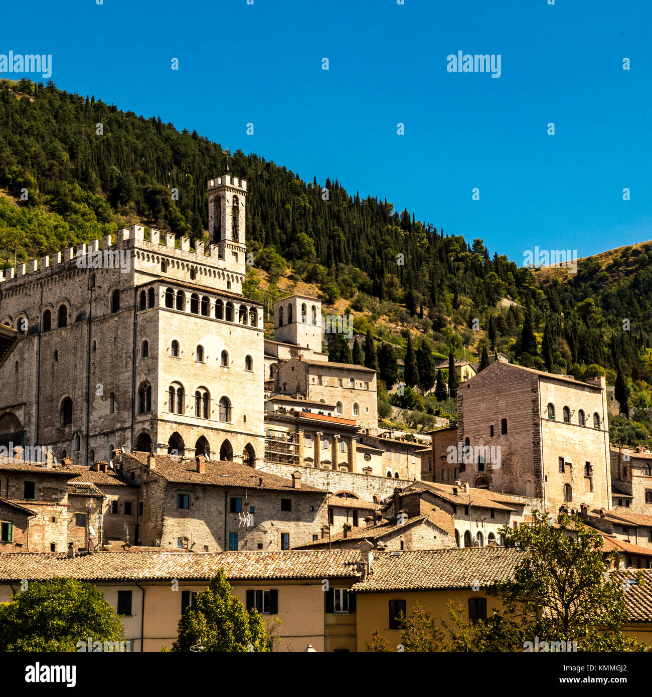 Italy: view of the ducal palace of Gubbio. In the background the wooded ...
