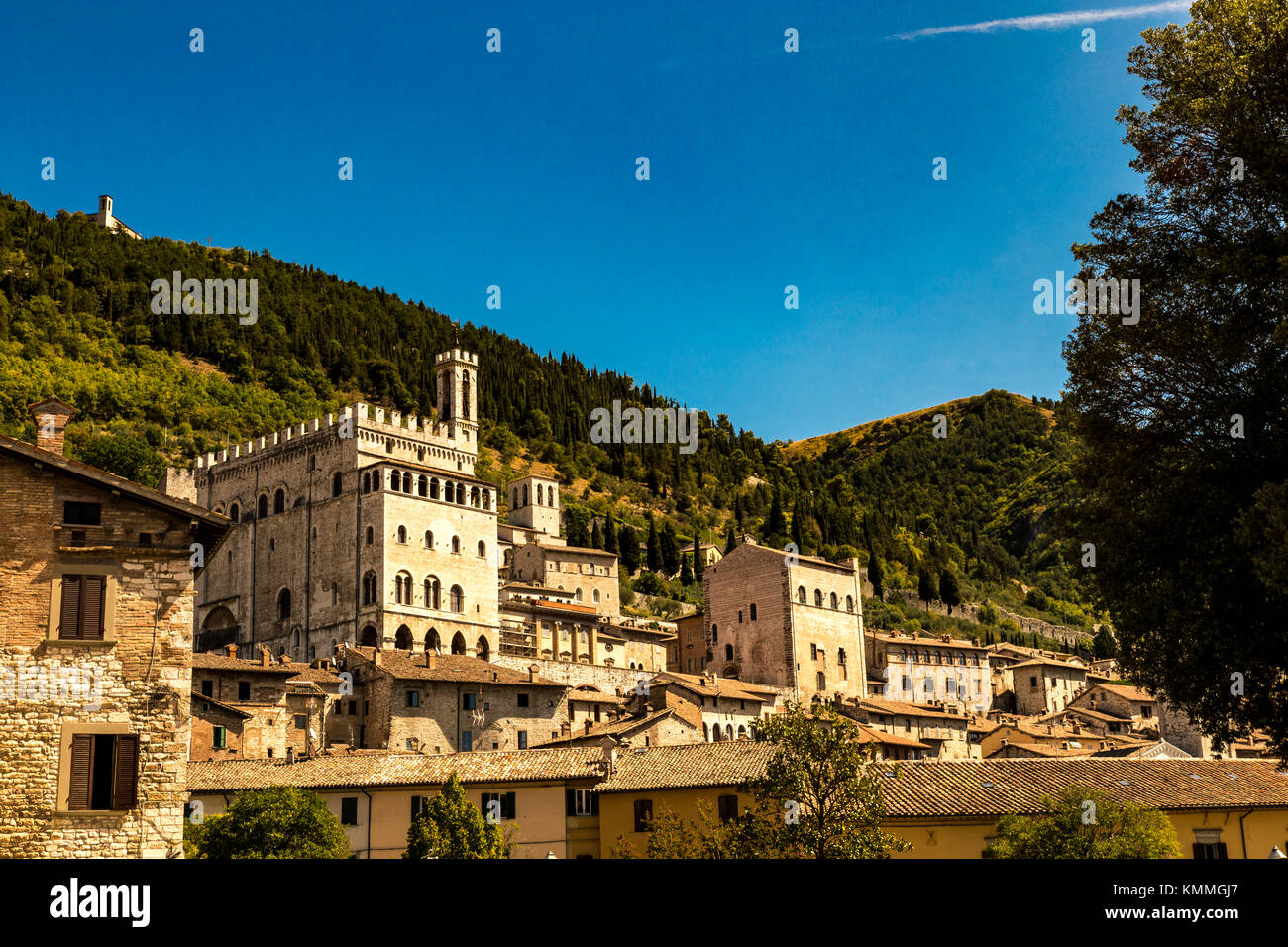 Italy: view of the ducal palace of Gubbio. In the background the wooded ...
