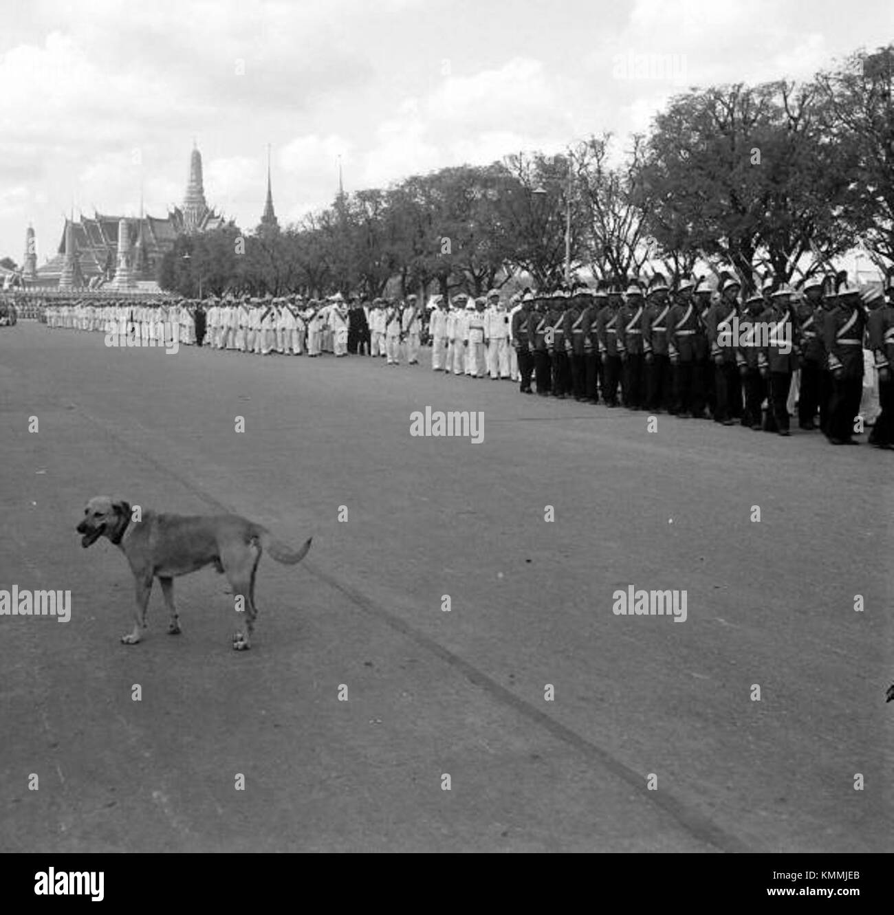 The funeral procession of Ananda Mahidol, a significant figure in Thai ...
