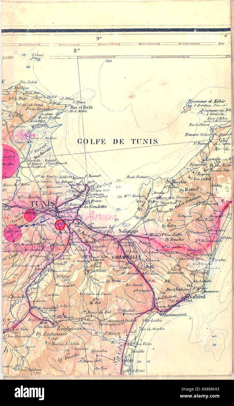 A map of Tunisia from 1895, showcasing the country's geographical ...
