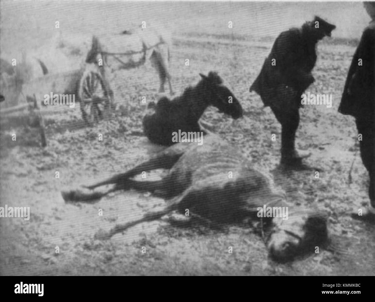 Historic horse image Black and White Stock Photos & Images - Alamy