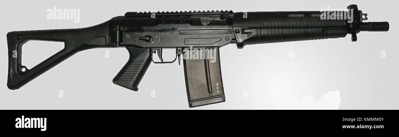 The SIG SG 751 is a Swiss-made assault rifle designed by SIG Sauer ...