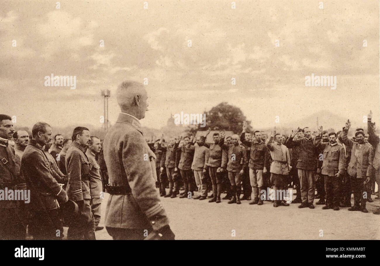 A photograph of a Ukrainian brigade from 1919, representing military ...