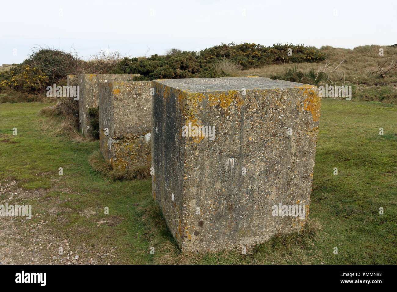 Line of World War Two concrete block tank traps on the edge of a beach ...
