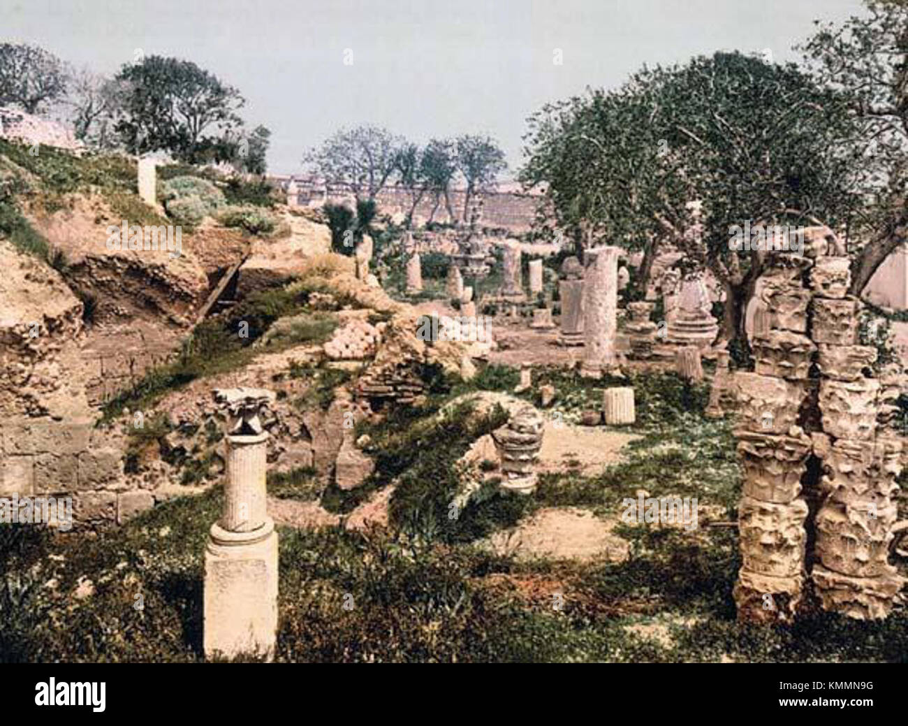 The Garden of the Carthage Museum, located in Tunisia, is a ...