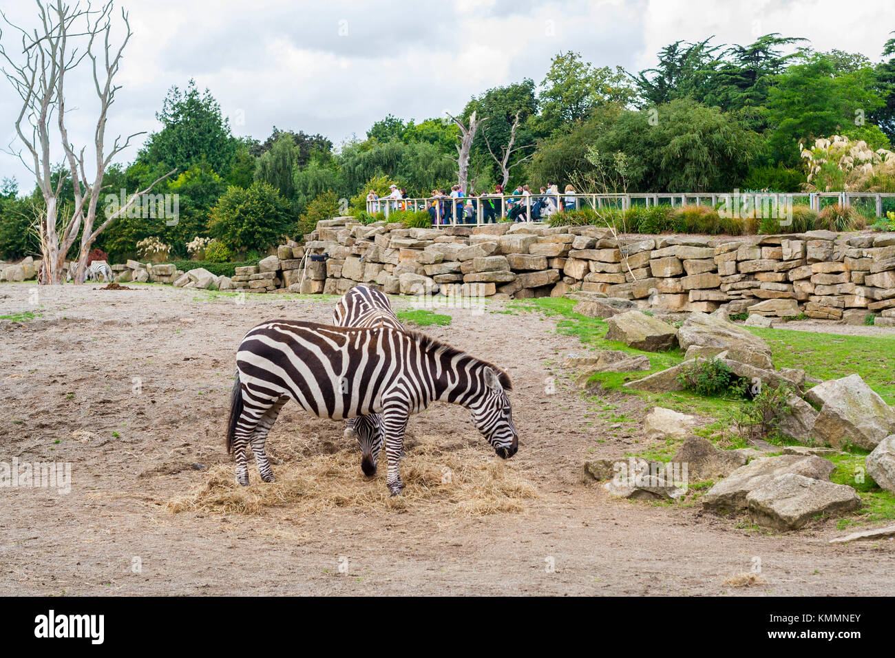 Dublin zoo hi-res stock photography and images - Alamy