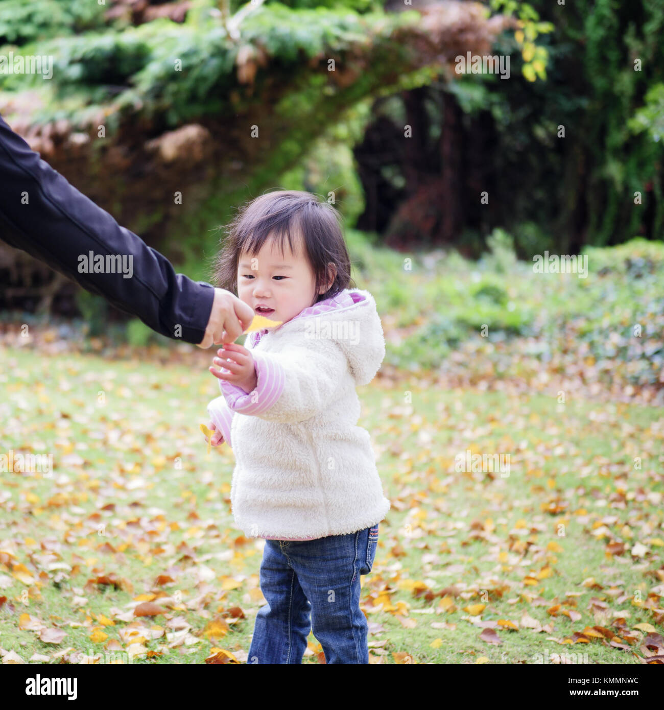 Baby girl playing at Autumn outdoor park Stock Photo - Alamy