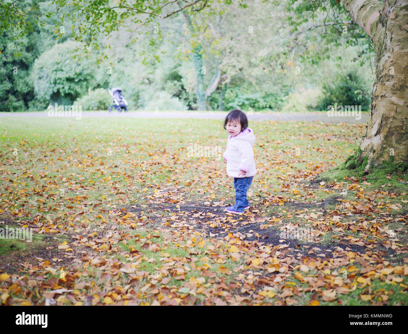 Baby girl playing at Autumn outdoor park Stock Photo - Alamy