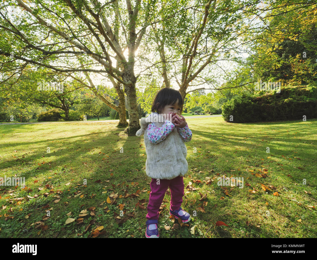 Baby girl playing at Autumn outdoor park Stock Photo - Alamy