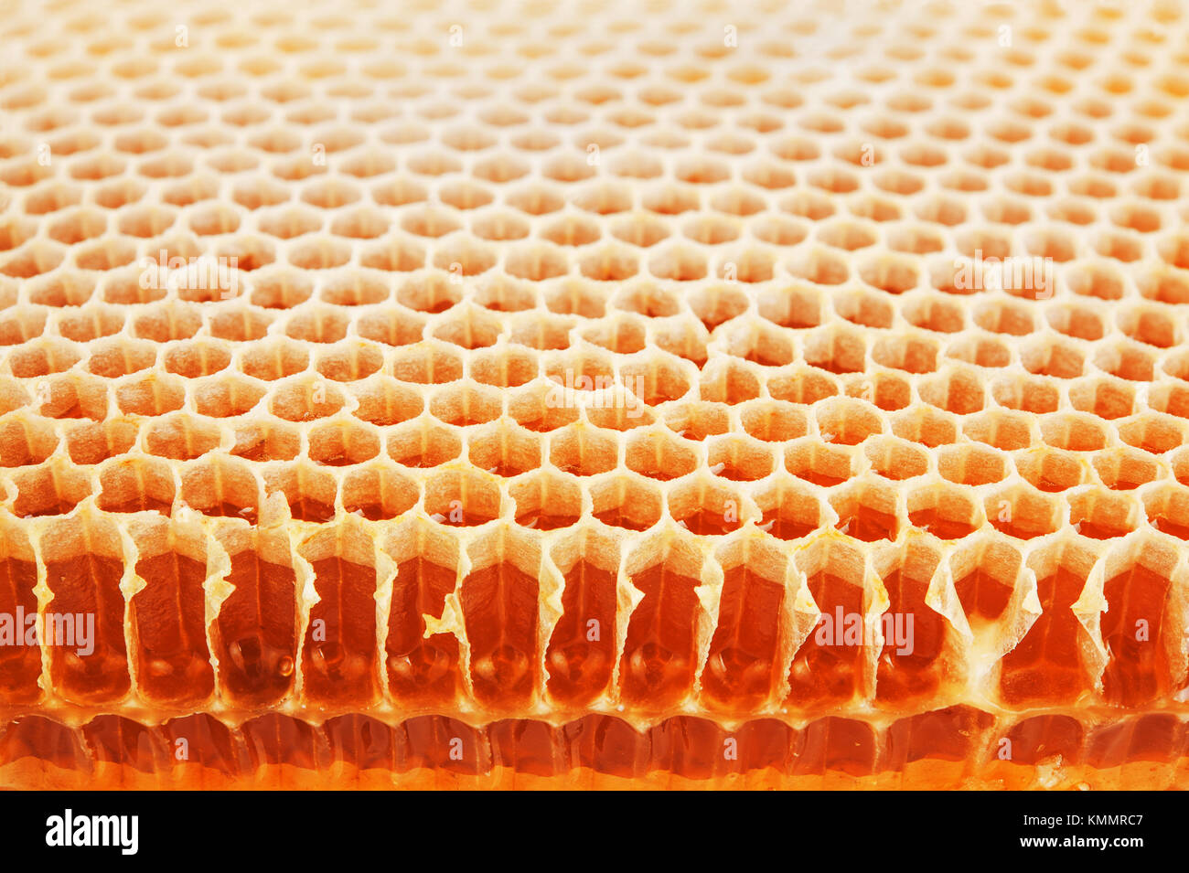 Slice of golden real honeycomb. Shot close up Stock Photo - Alamy
