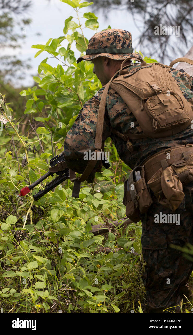 U.S. Marine Lance Cpl. Nicholas Cook rushes the enemy position during ...