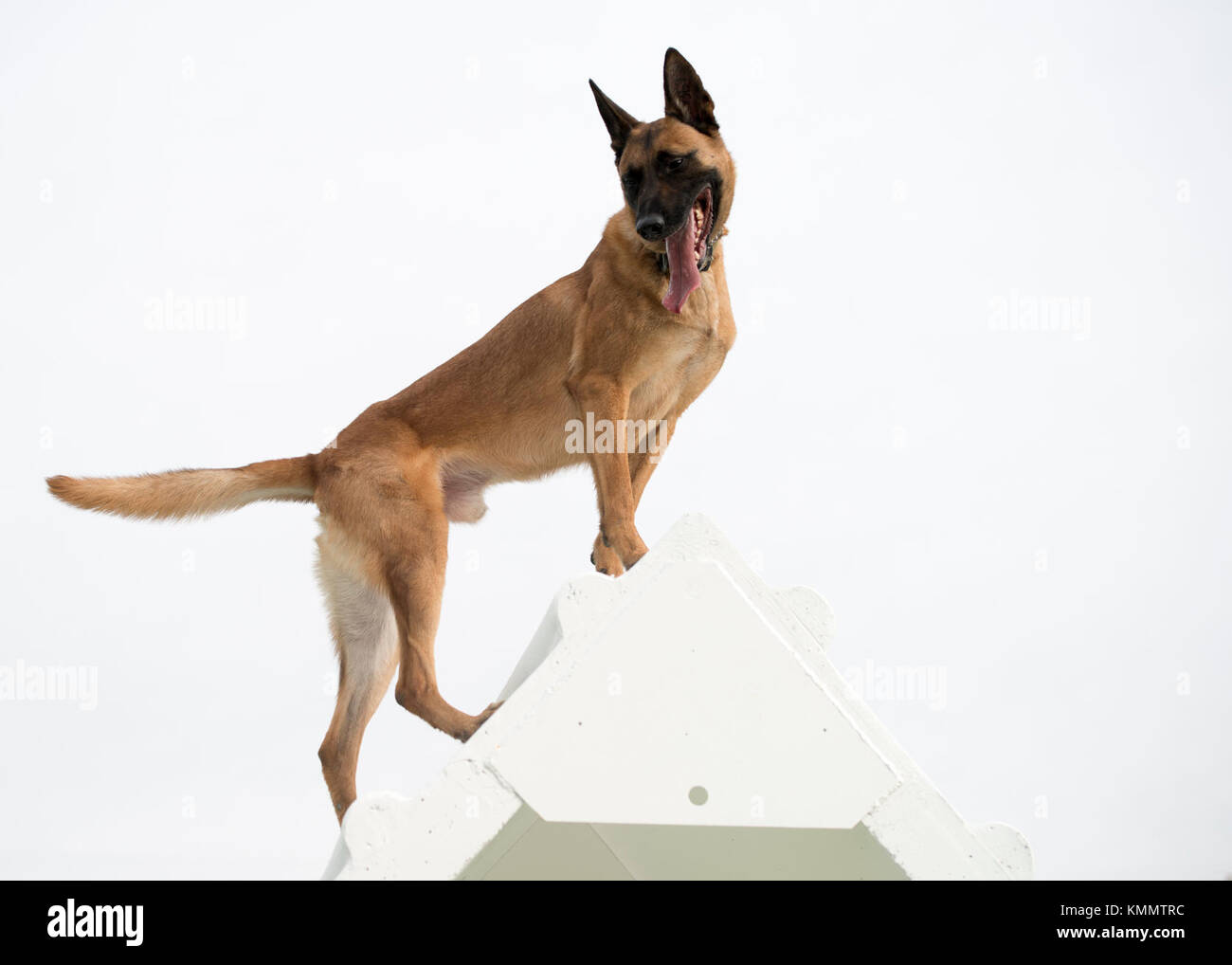 366th security forces squadron hi-res stock photography and images - Alamy