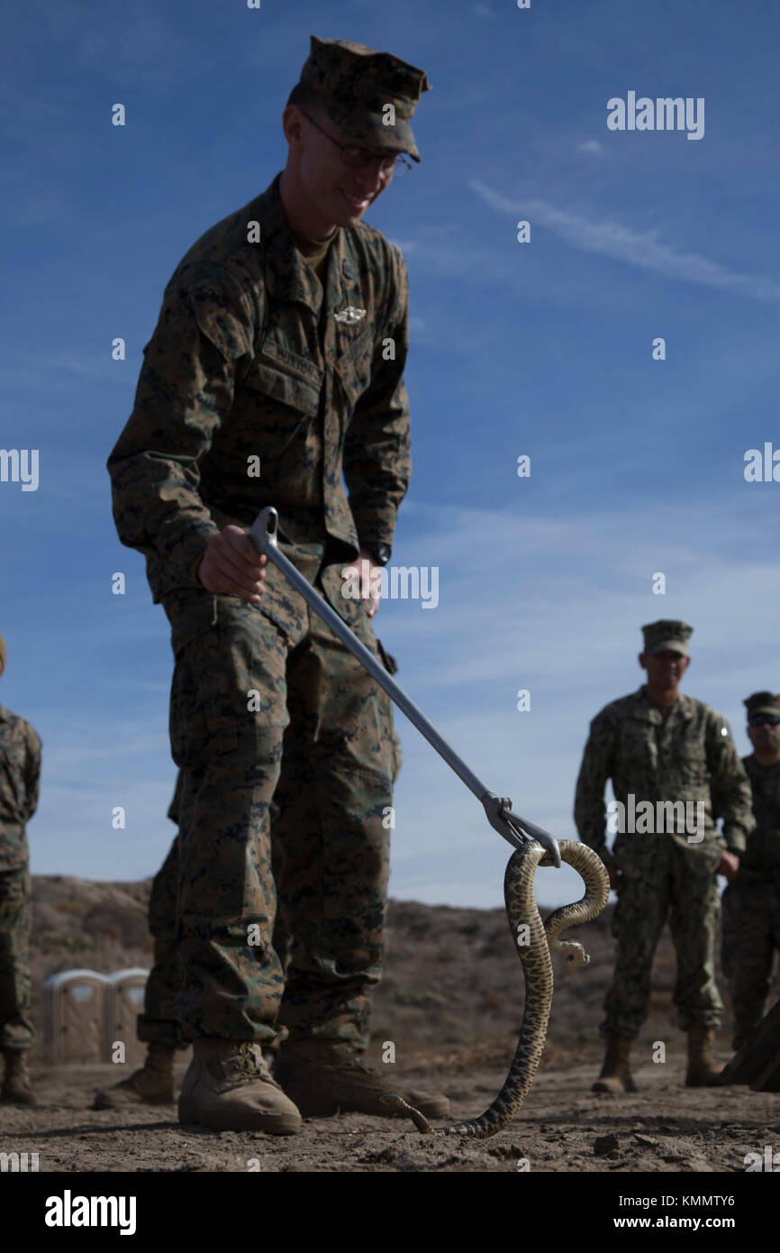 U.S. Navy Hospital Corpsman 2nd Class Patrick Dutton, a preventive ...