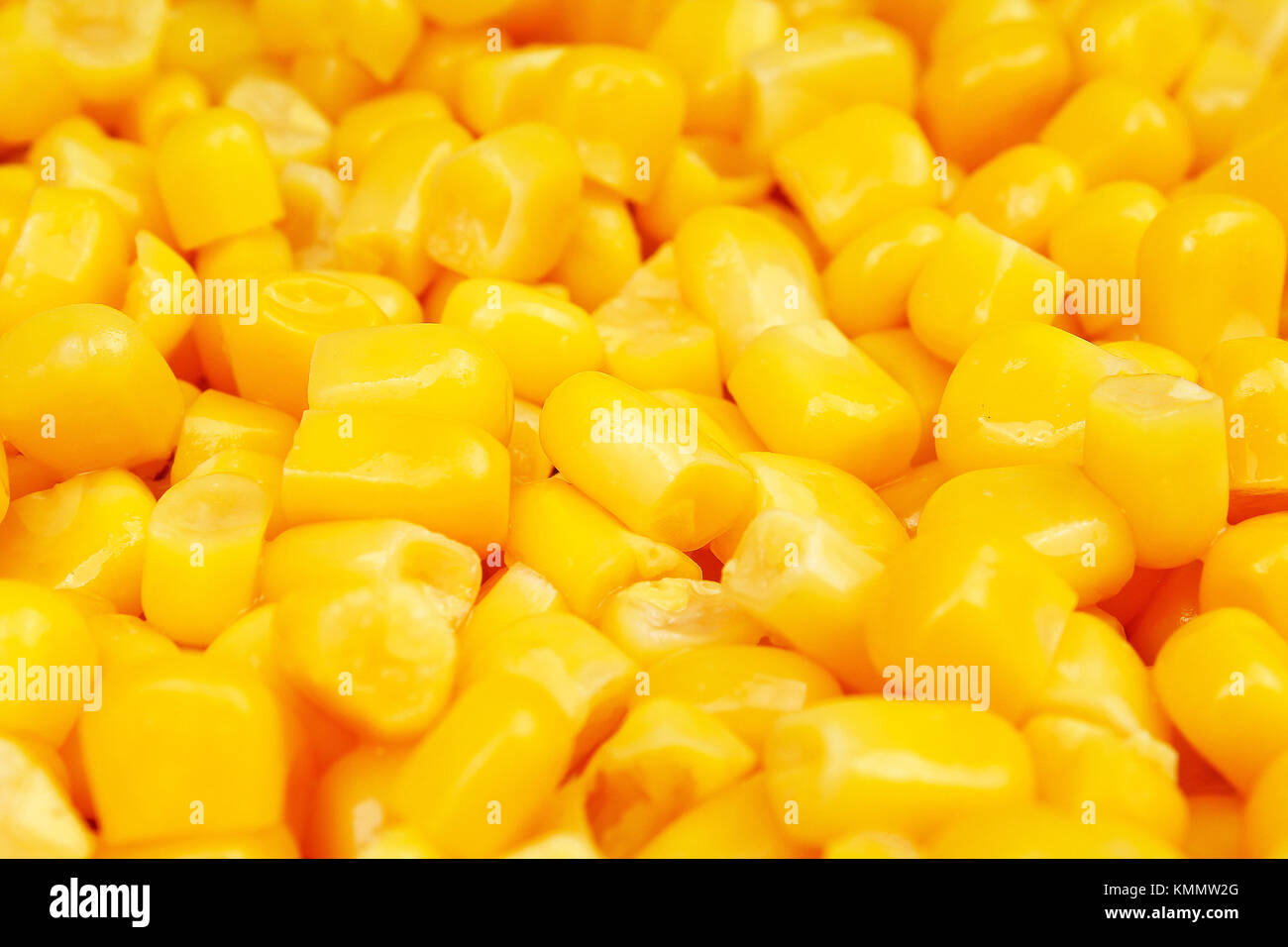 Corn texture. Yellow corns as background. Corn vegetable pattern ...