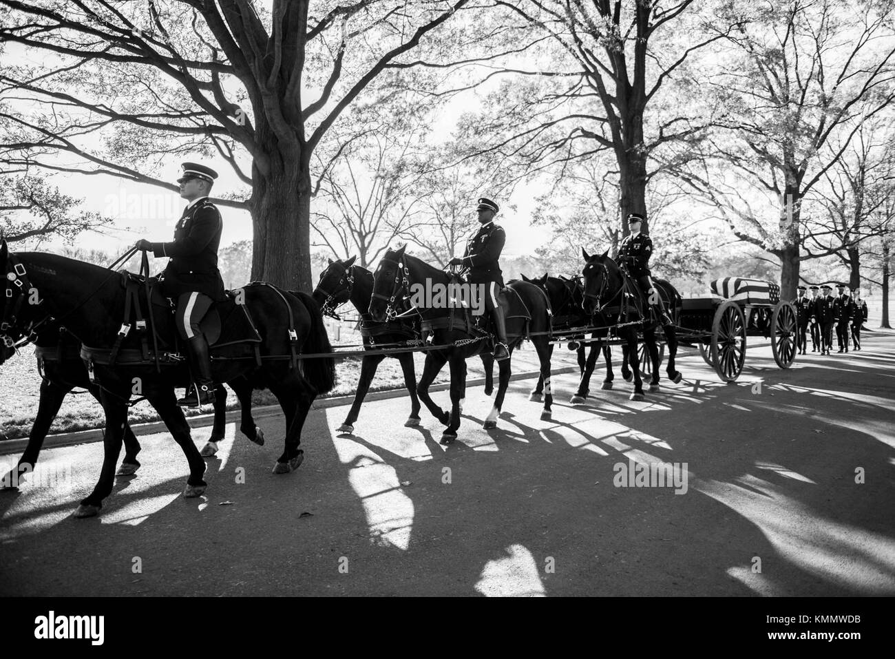 The 3d U.S. Infantry Regiment (The Old Guard) Caisson Platoon ...
