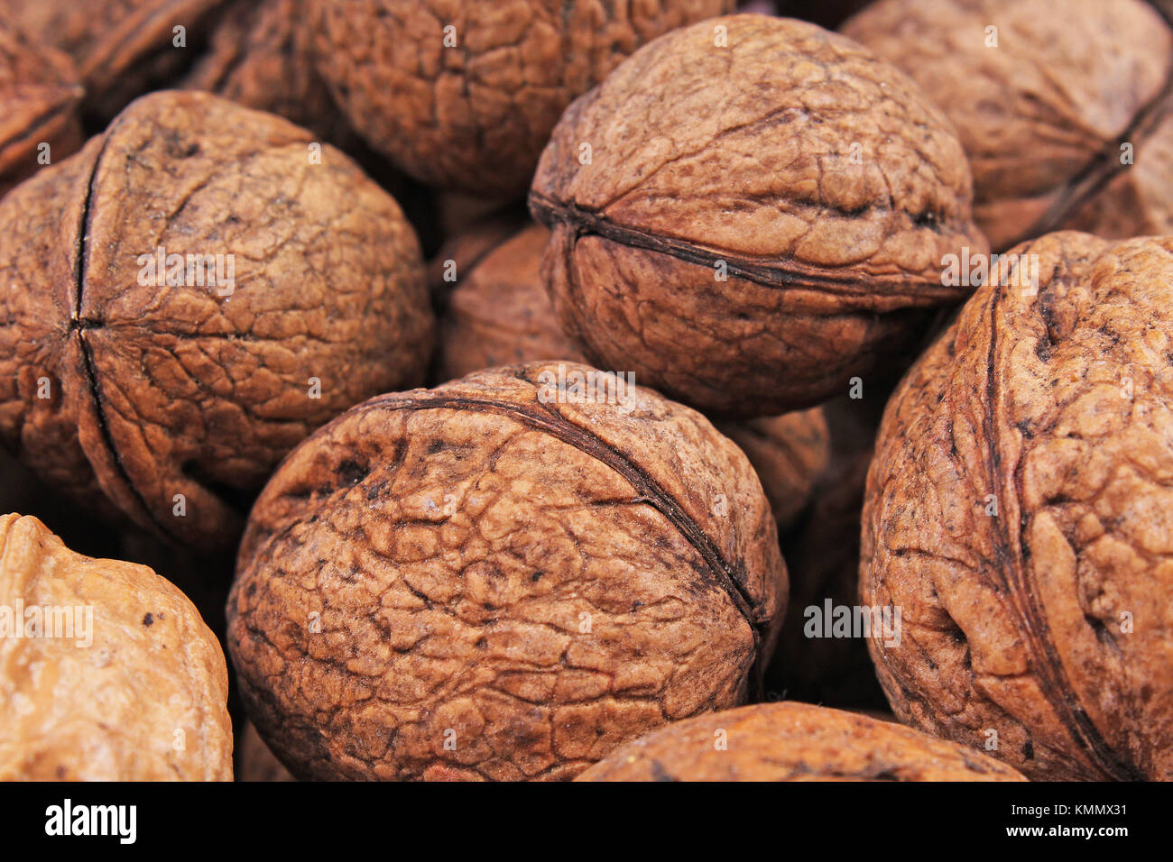 Walnut texture. Brown big walnuts as background. walnut nuts pattern ...