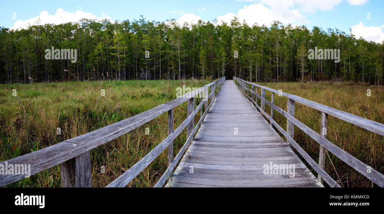 Boardwalk path at Corkscrew Swamp Sanctuary in Naples, Florida leads to ...