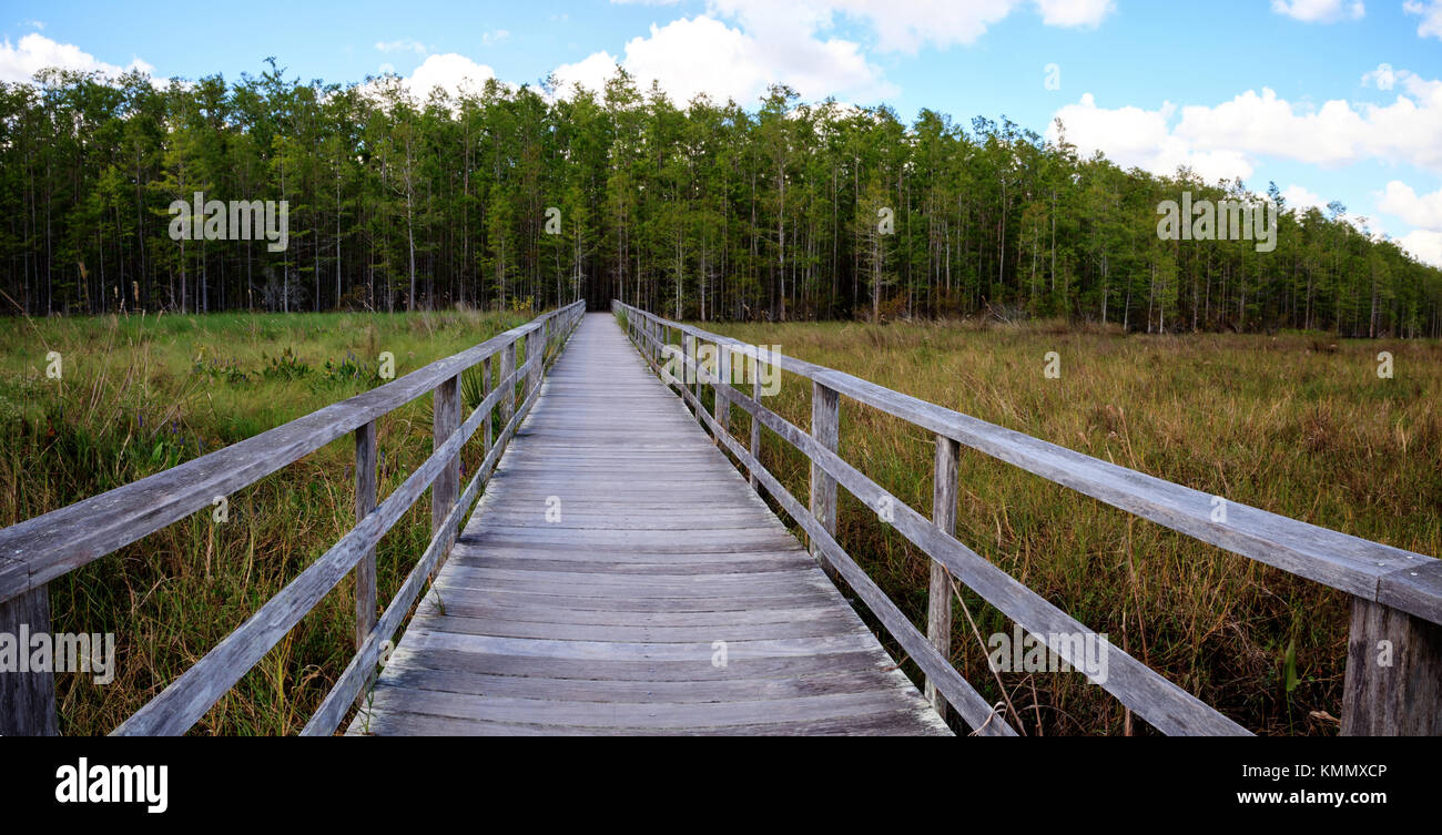 Boardwalk path at Corkscrew Swamp Sanctuary in Naples, Florida leads to ...