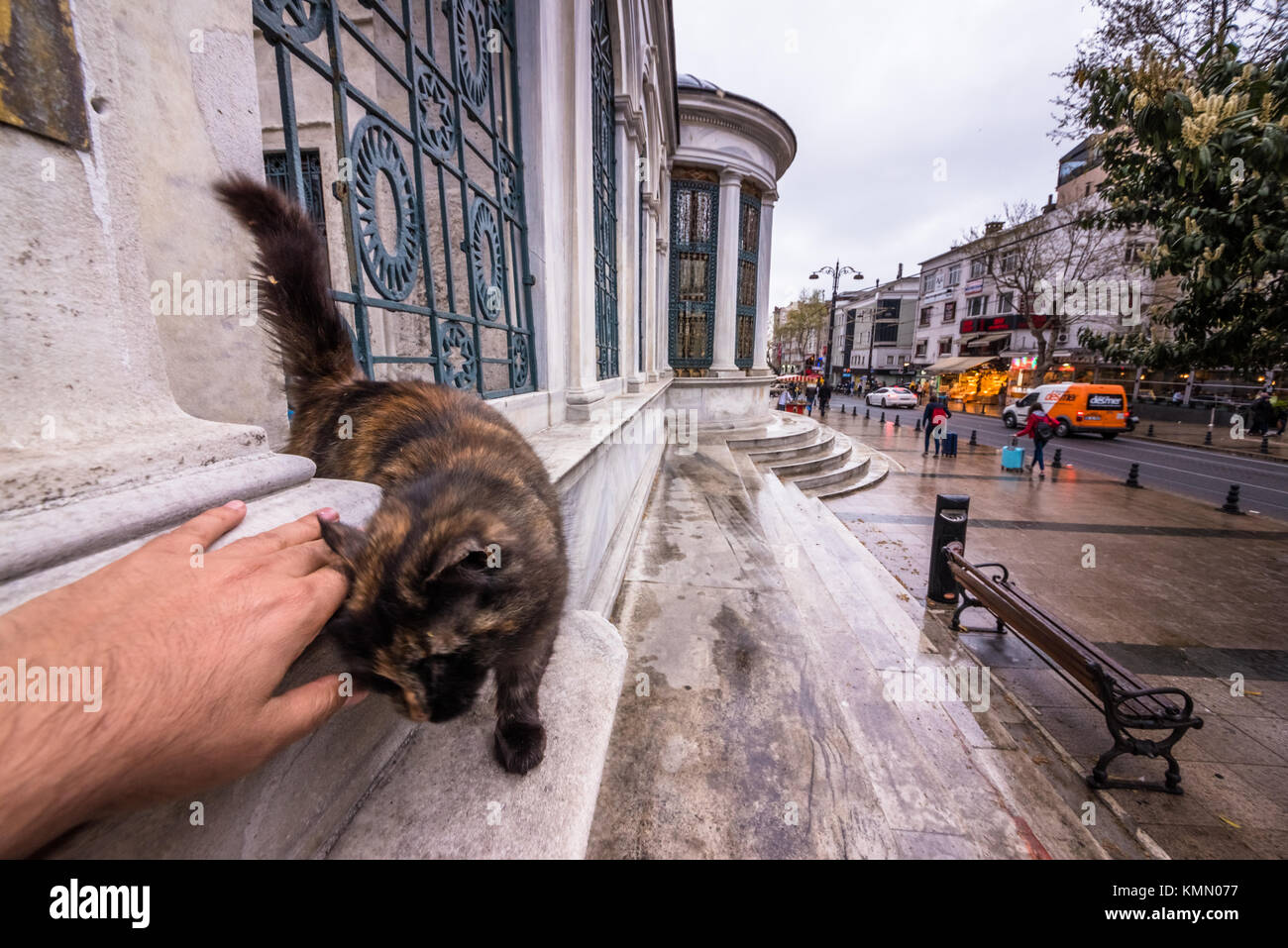 Homeless Man With Cat High Resolution Stock Photography and Images - Alamy
