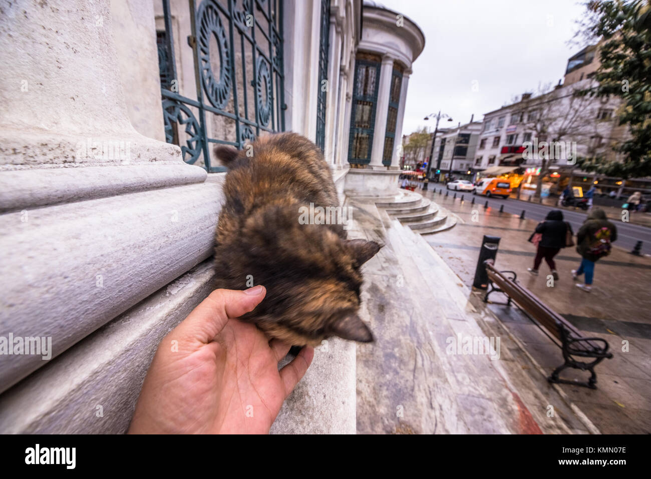 Homeless man with cat hi-res stock photography and images - Alamy