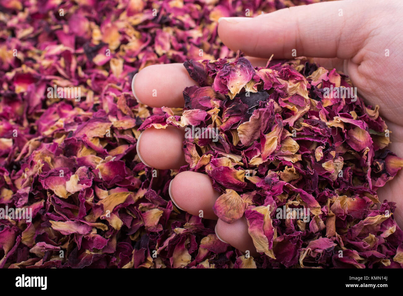 Background of dried rose petals as herbal tea Stock Photo - Alamy