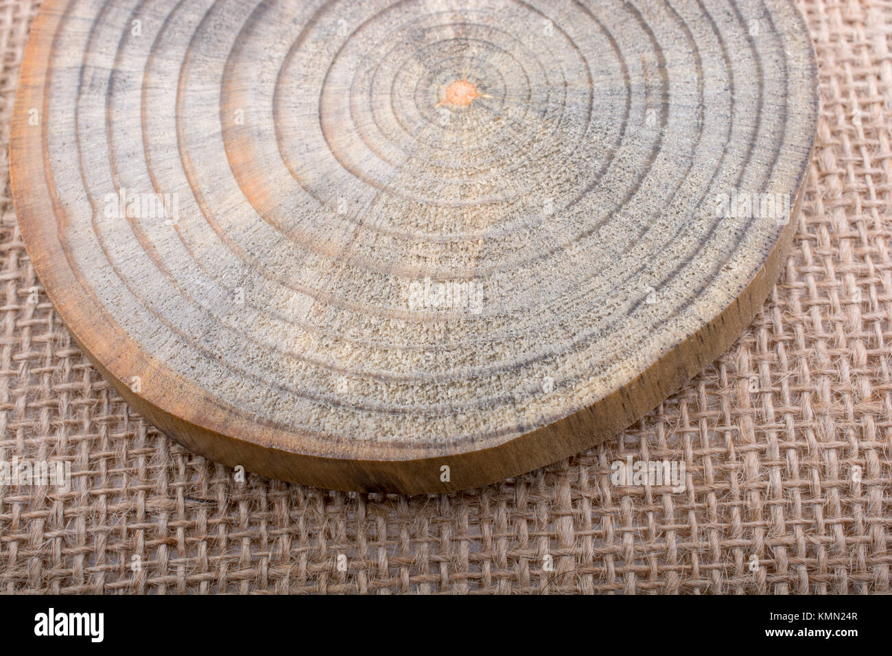 Wood Log cut in round thin pieces in view Stock Photo - Alamy