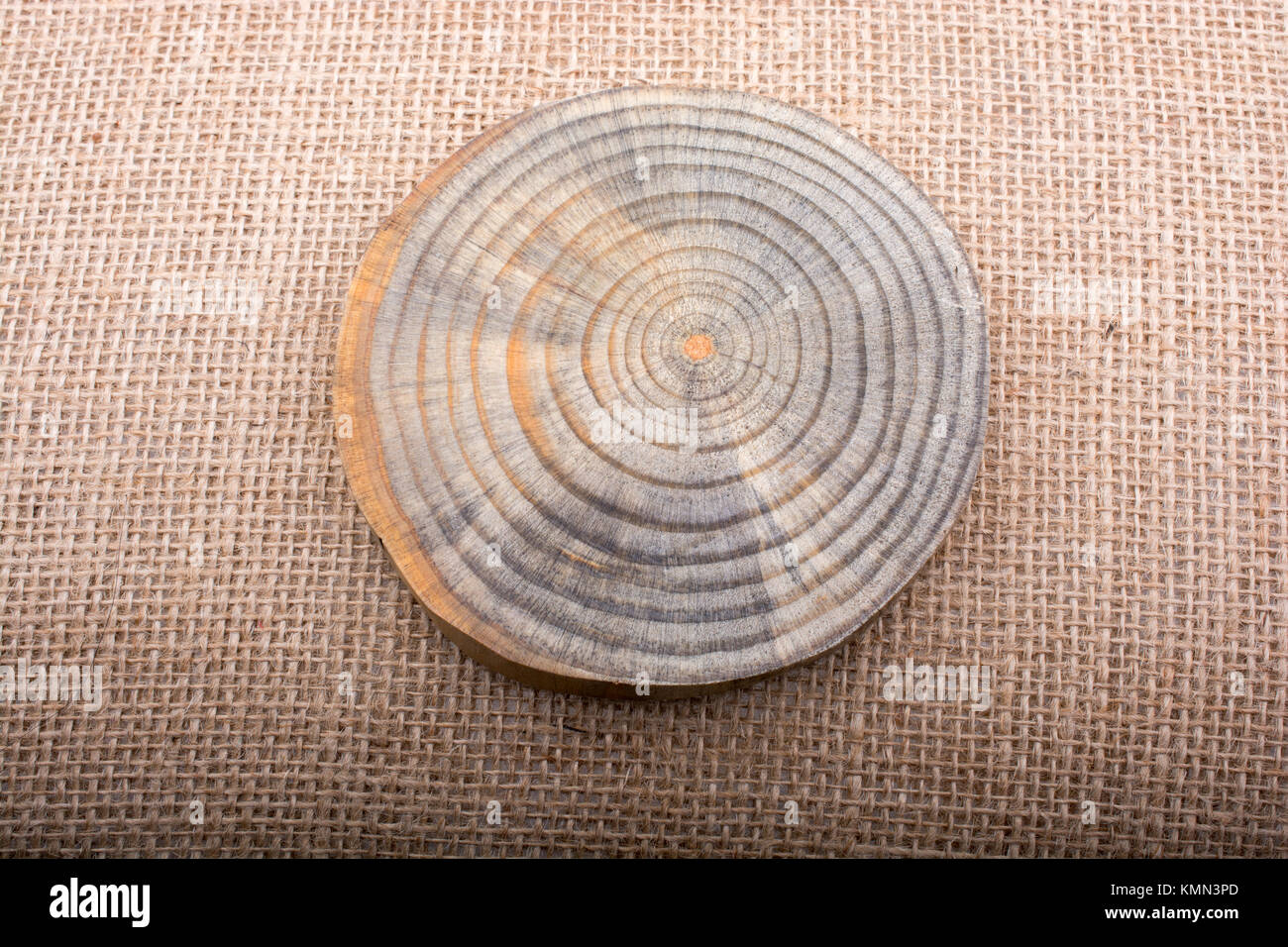 Wood Log cut in round thin pieces in view Stock Photo - Alamy