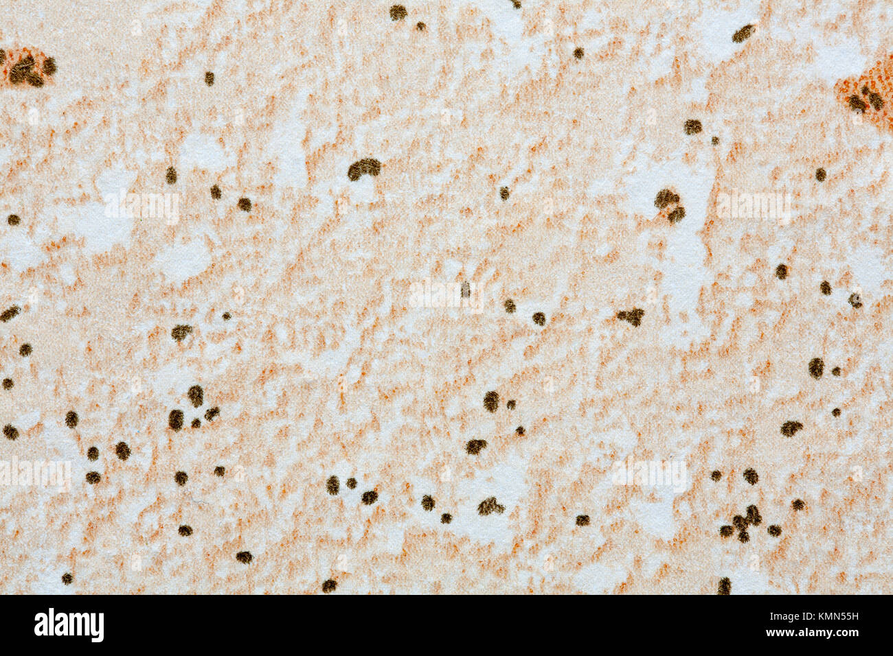 bright paper wall to a point Stock Photo - Alamy