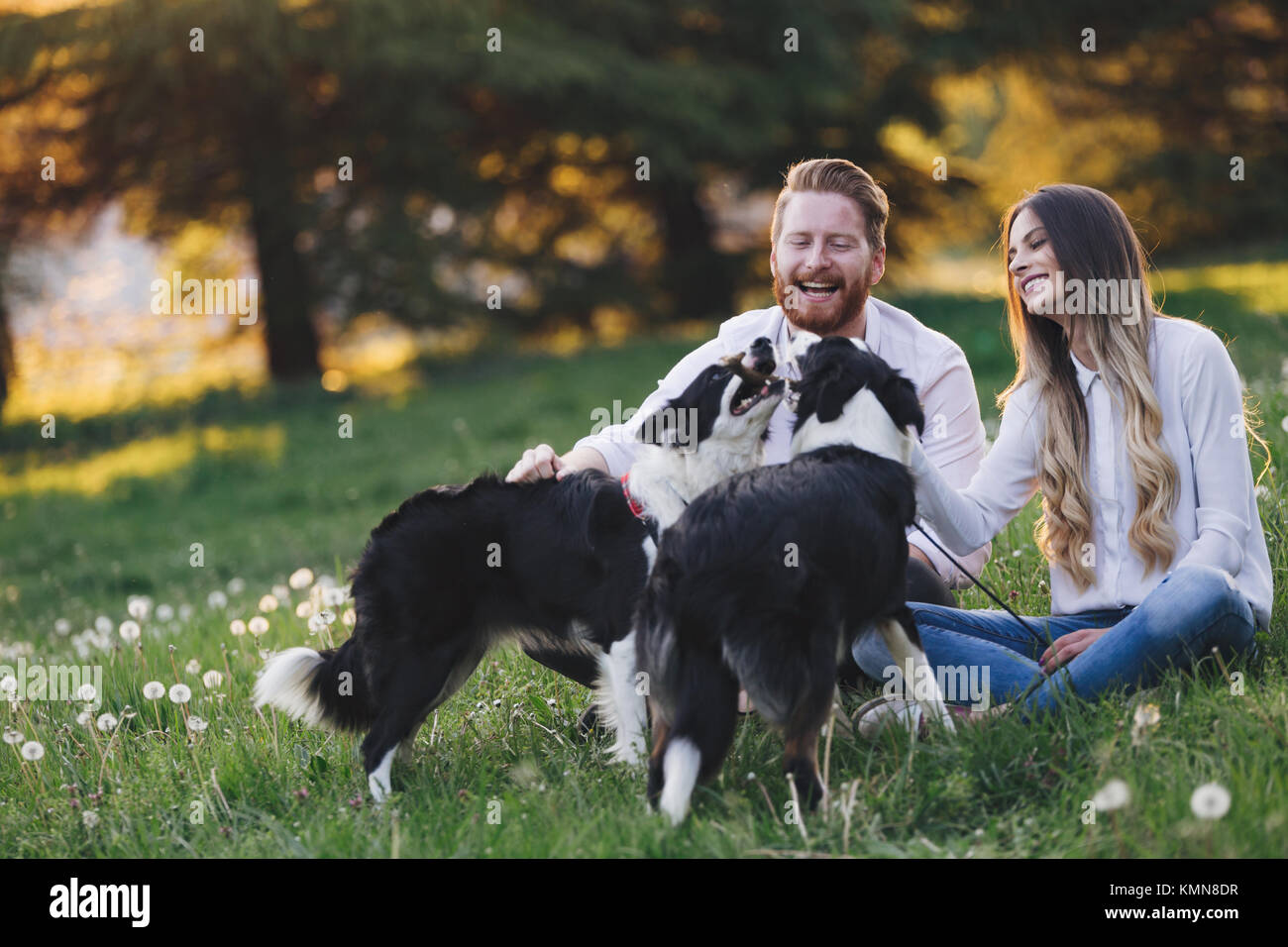Romantic couple in love walking dogs in nature and smiling Stock Photo ...