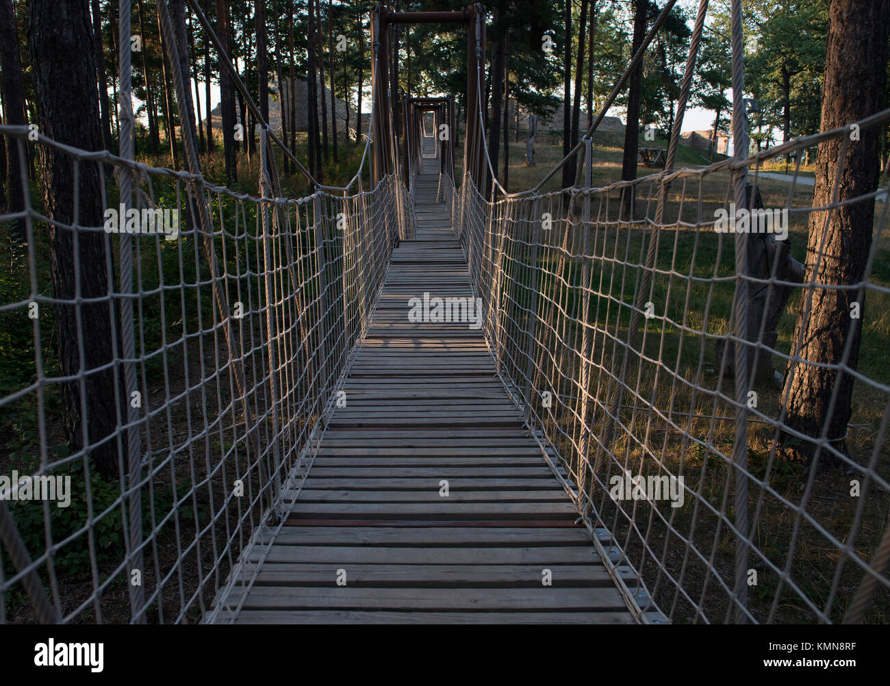 wooden rope bridge in the forest Stock Photo - Alamy