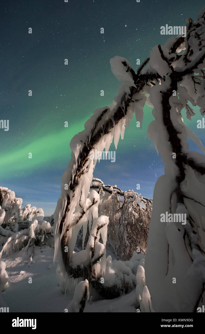 Abisko National Park Northern Lights High Resolution Stock Photography ...
