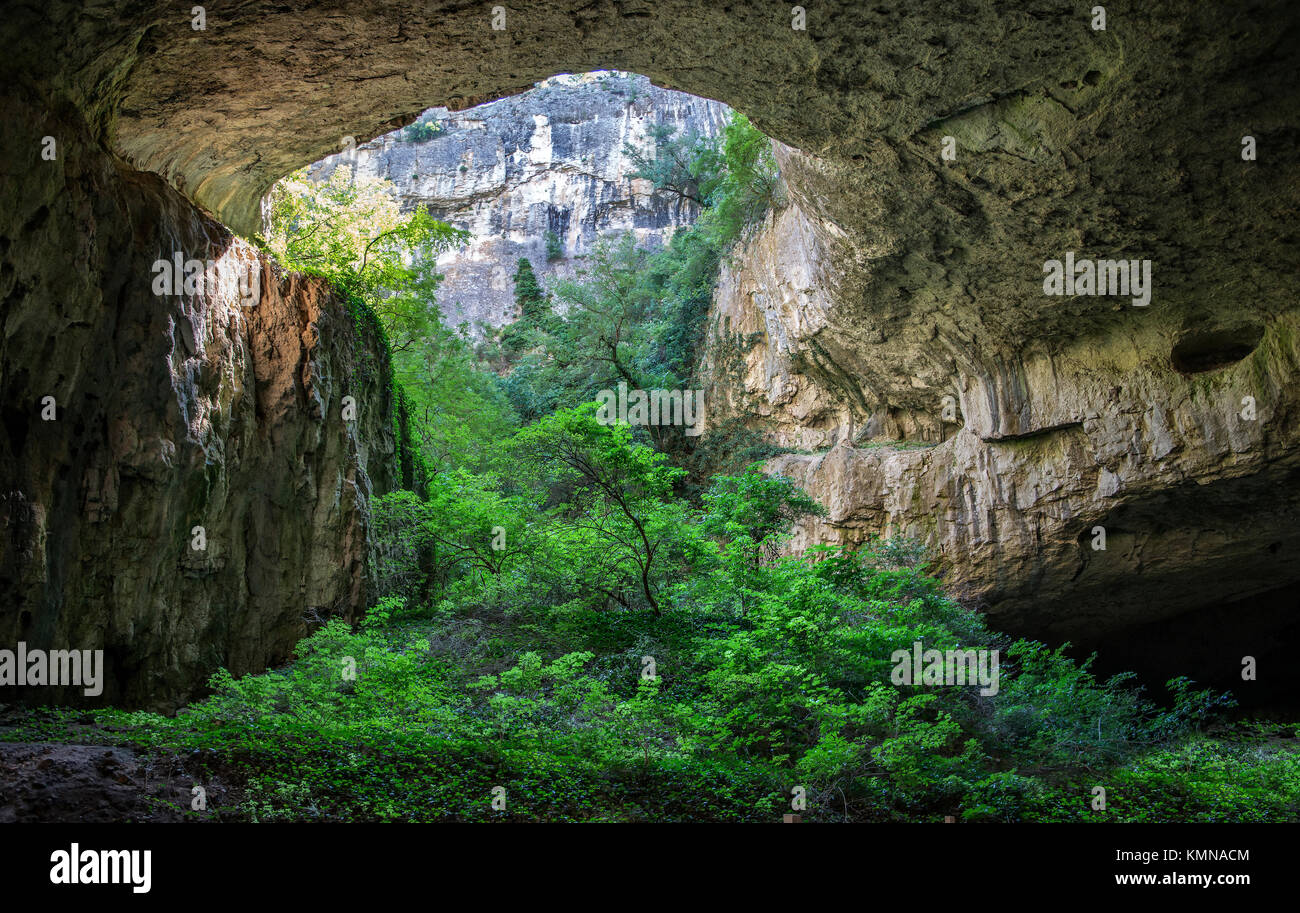 huge cave with holes abouve and forest inside Stock Photo - Alamy